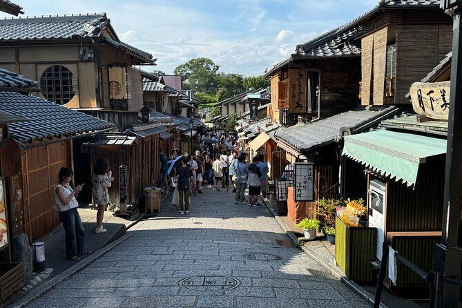 1 Day Private Sightseeing Tour in Kyoto - Practical Considerations and Value