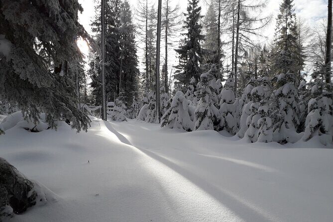 1-day Private Snowshoe Hike in the Gorce Mountains near Krakow - Starting from Krakow: Comfort and Convenience