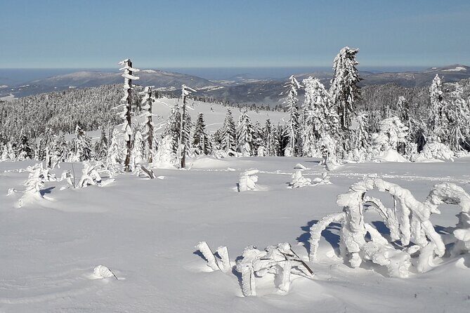 1-day Private Snowshoe Hike in the Gorce Mountains near Krakow - Sunset or Sunrise Option: Magical Light and Atmosphere
