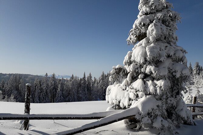 1-day Private Snowshoe Hike in the Gorce Mountains near Krakow - Return Journey and Reflection