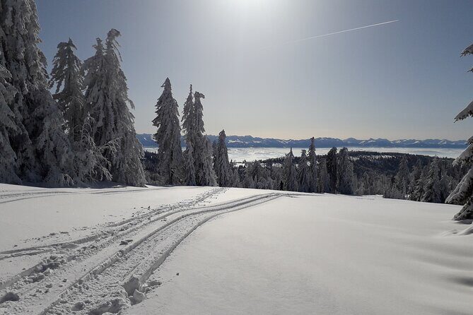 1-day Private Snowshoe Hike in the Gorce Mountains near Krakow - Equipment and Cost Considerations