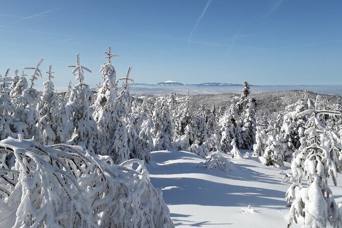 1-day Private Snowshoe Hike in the Gorce Mountains near Krakow - Authentic Insights from Past Travelers