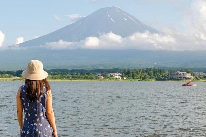 1 Day Private Tour of Mt. Fuji and Hakone with English Driver - Who Should Consider This Tour?