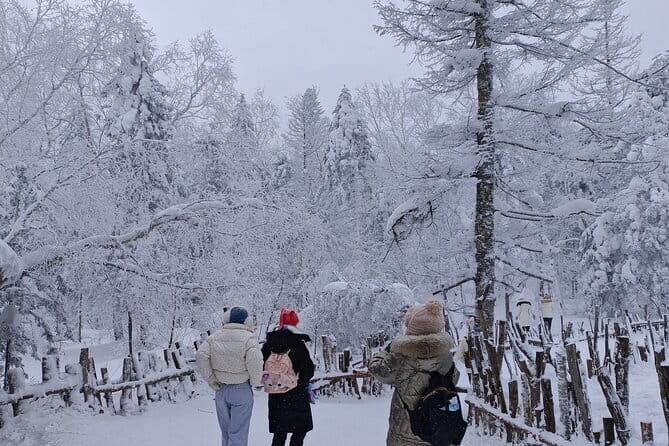 1 Day Private Tour to China Snow Village - Key Points