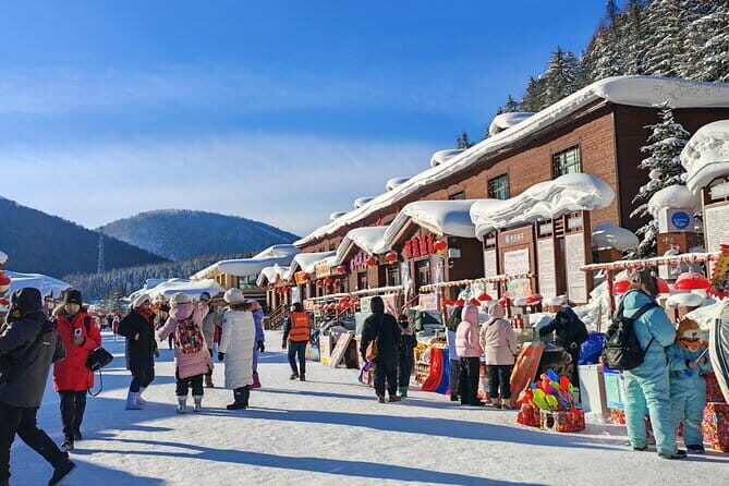 1 Day Private Tour to China Snow Village - A Detailed Look at the Harbin Snow Adventure