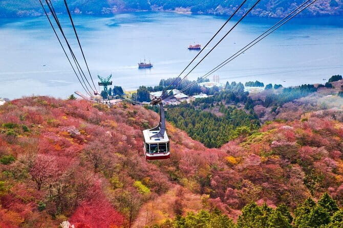 1 Day Private Tour to Hakone-Gotemba With English Speaking Driver - Why This Tour Might Be Perfect for You