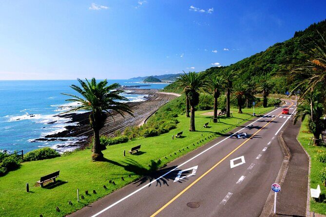1 Day Private Tour to Miyazaki Nichinan - Value and Cost Analysis