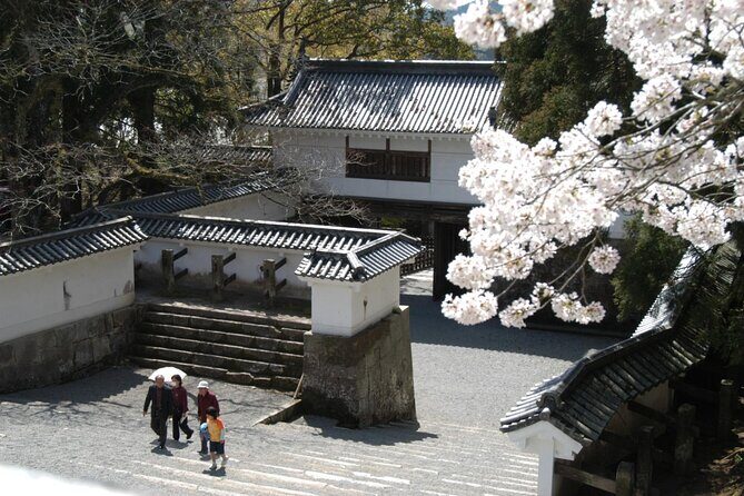 1 Day Private Tour to Miyazaki Nichinan - The Sum Up