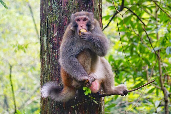 1-Day Private Tour to Tianmen Mountain & Furong Town Night Light - A Closer Look at the Itinerary