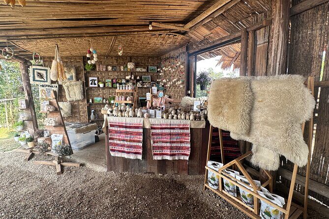 1 Day Private Tour White Temple and Renewed Doichang Coffee - Who Should Consider This Tour?