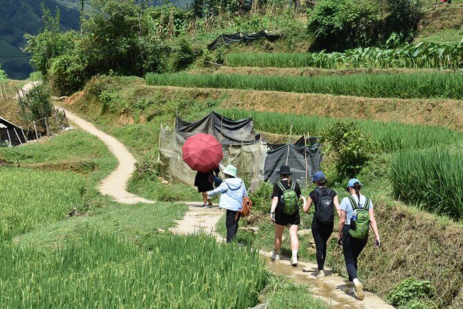 1-Day Private Trekking in Sapa through Terraces Rice Fields - Why This Tour Is a Great Choice