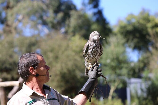 1 day Puffing Billy Steam Train and Wildlife Tour from Melbourne - Cost and Value