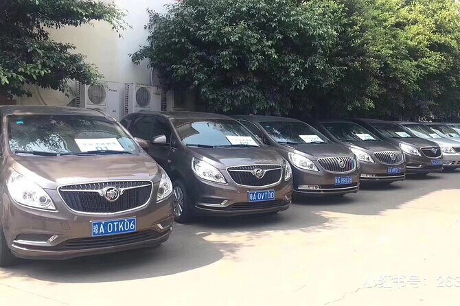 1-Day Sanya Customized Itinerary Charter Car Service - Who Should Consider This Tour?