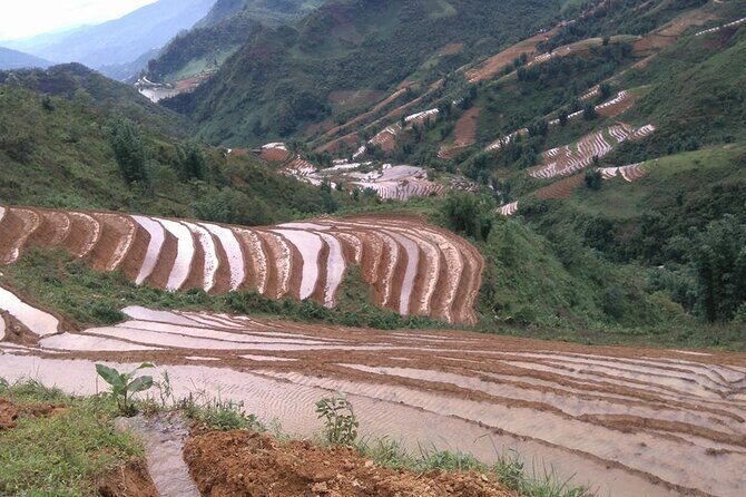 1 Day Sapa Authentic Trekking ( off beaten track ) - What Travelers Say