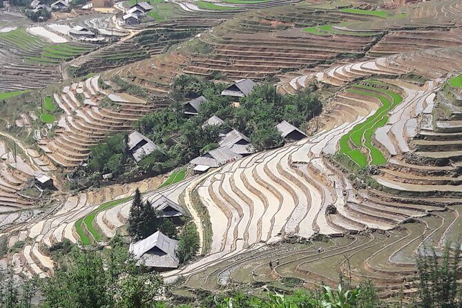 1 Day Sapa Authentic Trekking ( off beaten track ) - Why This Tour Is Worth Considering