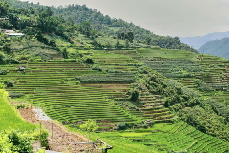 1-Day Sapa Long Trek - Rice Field Terrace, Ethnic Culture - Who Will Love This Tour?