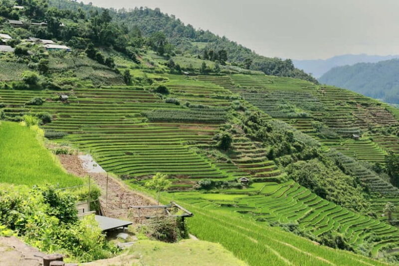 1-Day Sapa Long Trek - Rice Field Terrace, Ethnic Culture - Final Words