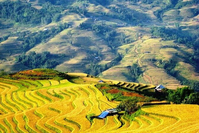 1 Day Sapa Tour Explore Y Linh Ho And Lao Chai And Ta Van Village - Why This Tour Stands Out