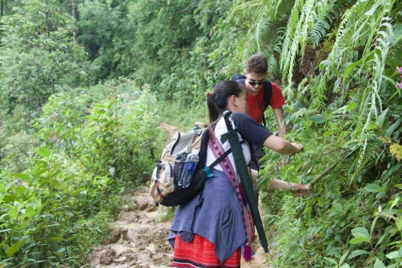 1 Day Sapa Trek&Home-cooked Lunch HmongSisterHouse&Trekking - A Deep Dive into the Sapa Trek Experience