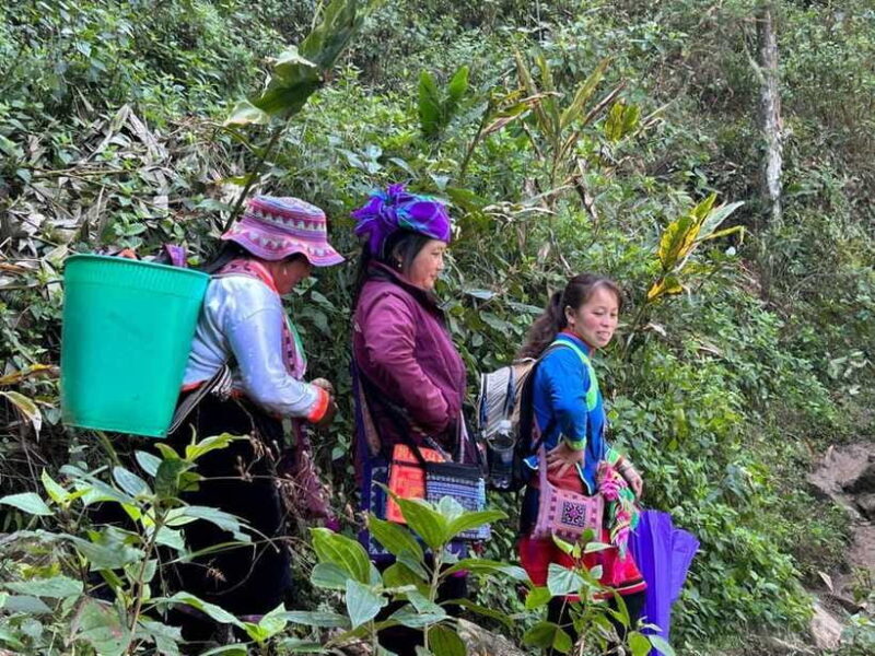 1 Day Sapa Trek&Home-cooked Lunch HmongSisterHouse&Trekking - Real Traveler Feedback