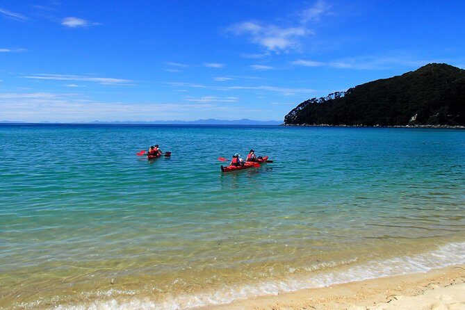 1 Day Sea Kayak Rental - Cost and Value Analysis