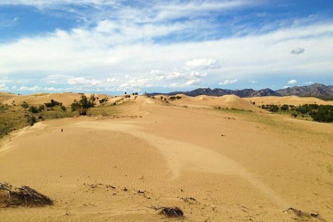 1 Day Semi-Gobi Tour Including Lunch And Free Camel +Bonus Khustai National Park - Value for Money