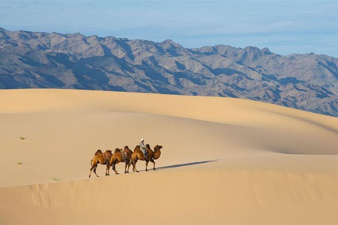 1 Day Semi-Gobi Tour with Lunch And Enjoying Camel or Horseback - Final Thoughts: Who Is This Tour Best For?