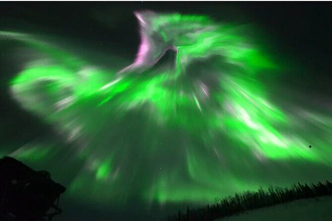 1 Day Shared Tour Arctic Circle and Aurora Viewing in Alaska - Introduction: What to Expect from This Tour