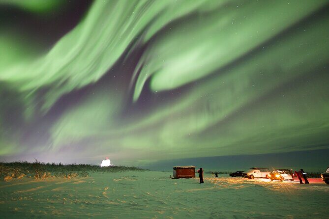 1 Day Shared Tour Arctic Circle and Aurora Viewing in Alaska - The Value of the Tour: Cost versus Experience