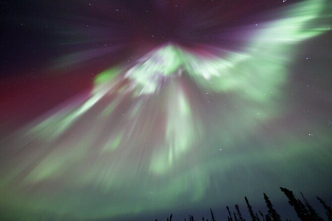 1 Day Shared Tour Arctic Circle and Aurora Viewing in Alaska - Authentic Traveler Perspectives