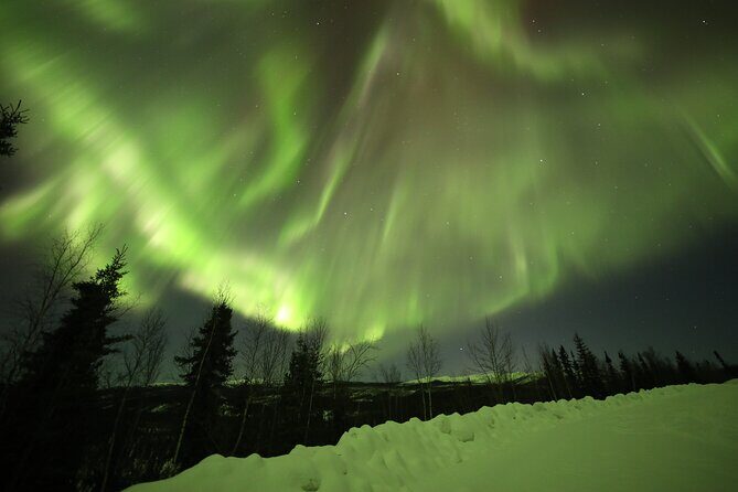 1 Day Shared Tour Arctic Circle and Aurora Viewing in Alaska - FAQ