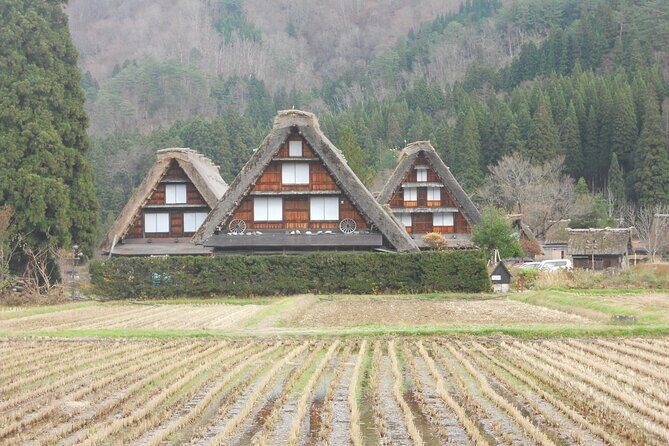 1-Day Shirakawago & Takayama Tour (Round Trip from Kanazawa) - A Closer Look at the Itinerary