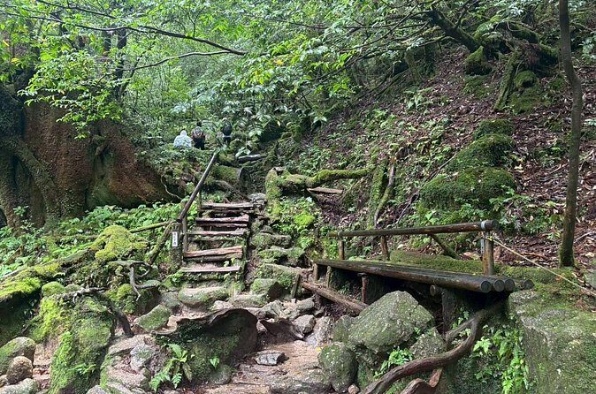 1 Day Shiratani Unsuikyo Adventure - Final Thoughts