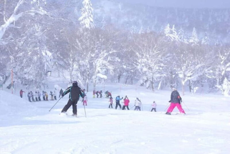 1-Day Ski Tour Package from Sapporo Station - Key Points