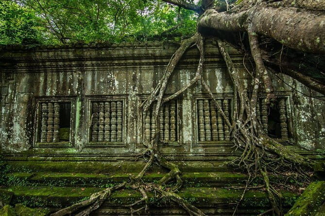 1 day special Tour: Angkor Wat,Bayon,Ta Prohm, Bantey srei and Beng Mealea - Final Verdict