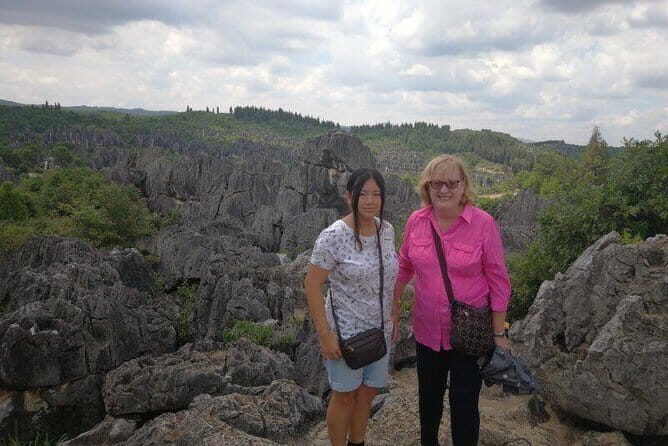 1-Day Stone Forest Geological Park Private Tour with the Lunch from Kunming - Introduction: A Nature-Driven Escape Worth Booking