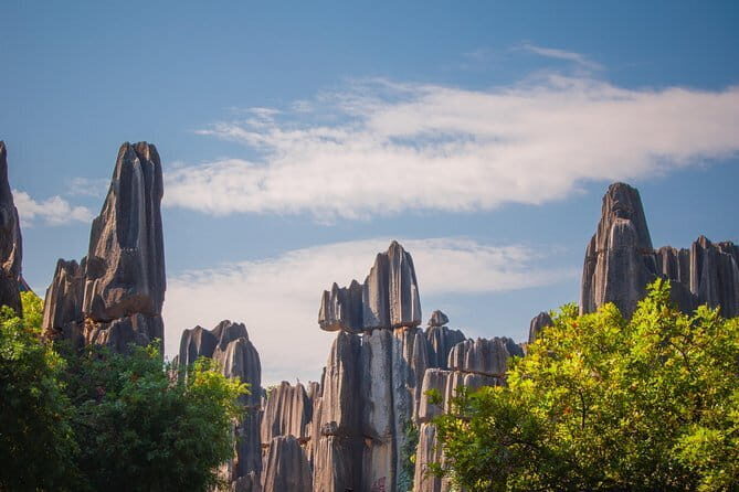 1-Day Stone Forest Geological Park Private Tour with the Lunch from Kunming - Detailed Breakdown of the Itinerary