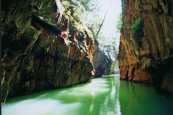 1 Day Stone Forest & Jiuxiang Cave Tour - The Marvels of Jiuxiang Scenic Region
