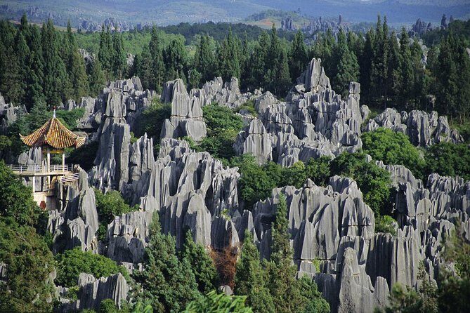 1 Day Stone Forest & Jiuxiang Cave Tour - What Travelers Say