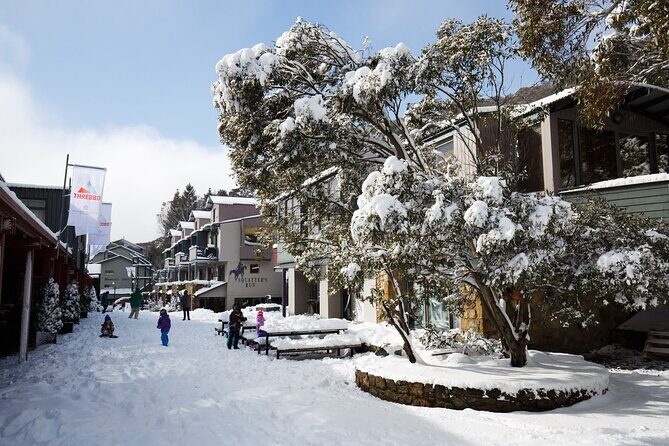 1 Day Thredbo Snow Tour From Sydney - Analyzing the Value: Price and Quality