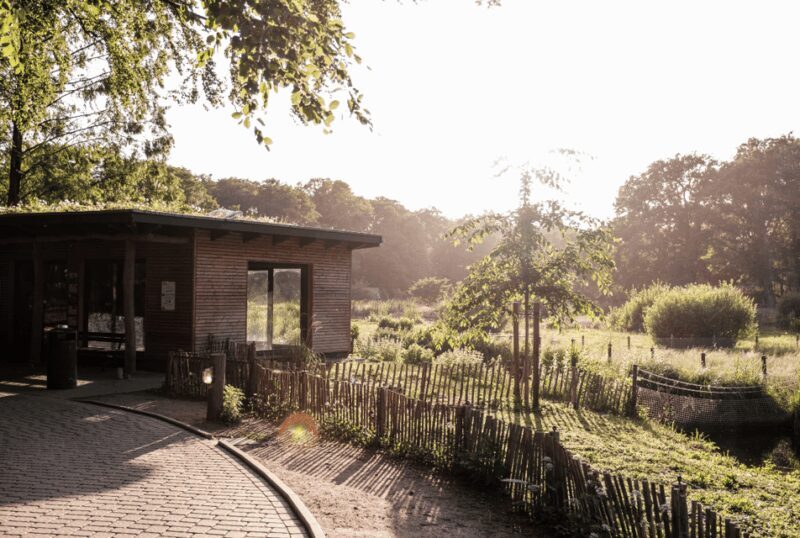 1-day ticket for Schwerin Zoo - What to Expect During Your Visit