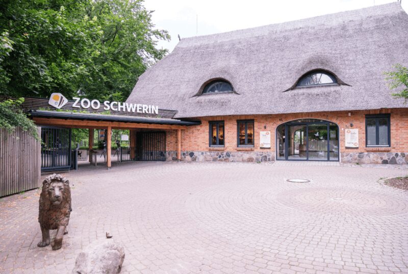 1-day ticket for Schwerin Zoo - Deep Dive: The Animal Exhibits and Layout