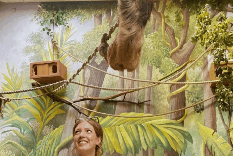 1-day ticket for Schwerin Zoo - Price and Value