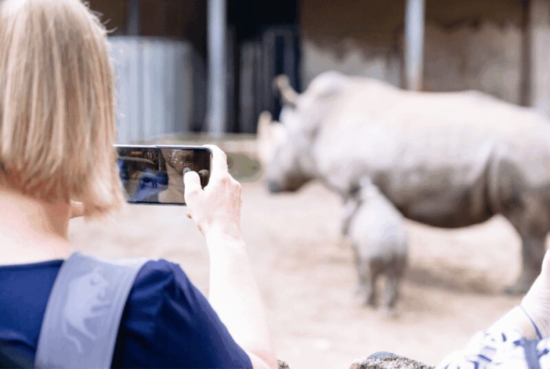 1-day ticket for Schwerin Zoo - Frequently Asked Questions