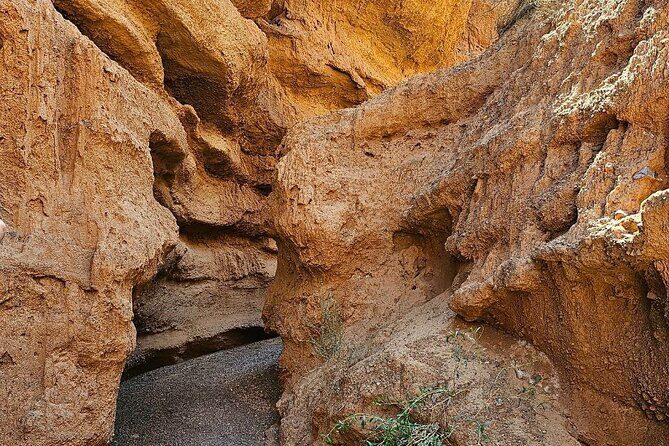 1 Day to Burana Tower, Kok Moinok Canyon, Hot Springs - FAQs