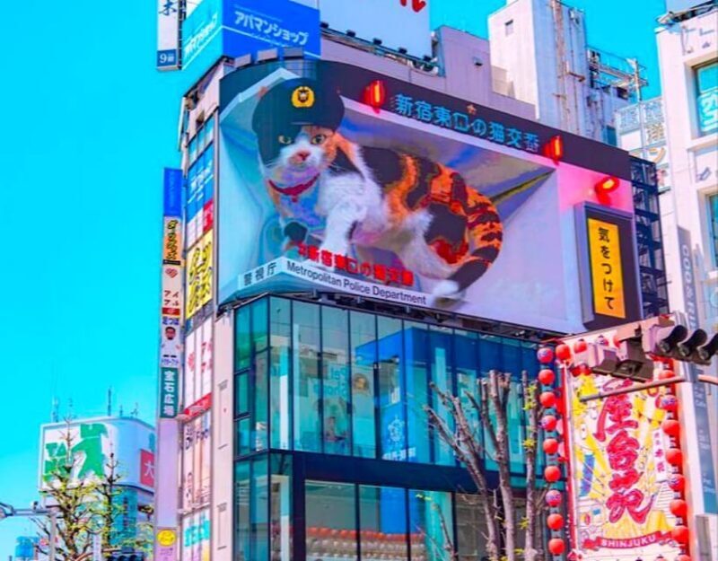 1-Day Tokyo Private Customizable Day Tour with a Guide - Key Points