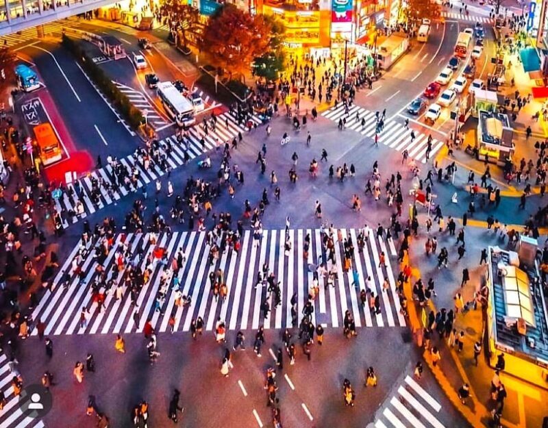 1-Day Tokyo Private Customizable Day Tour with a Guide - Who Is This Tour Best For?