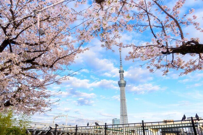 1 day TokyoPrivateBusTours + LicenseGuide + MatchaMakingTokyo - A Practical Guide to Tokyo’s Top Sights in One Day