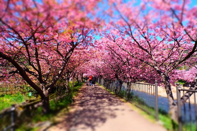 1 day TokyoPrivateBusTours + LicenseGuide + MatchaMakingTokyo - Practical Details and Value