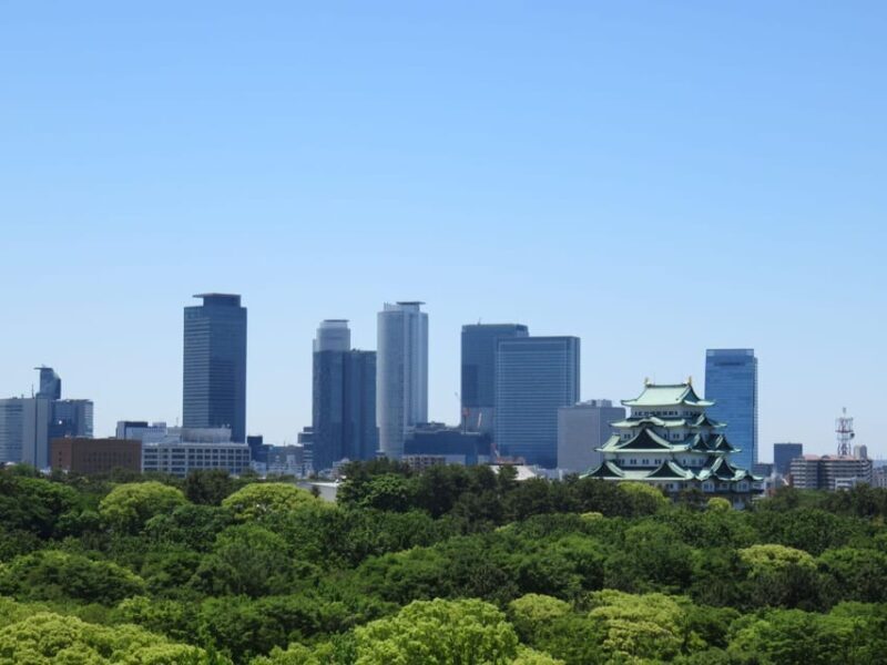 1-Day Tour: Eat Like a Local in Nagoya - Exploring Nagoya’s Culinary and Cultural Richness